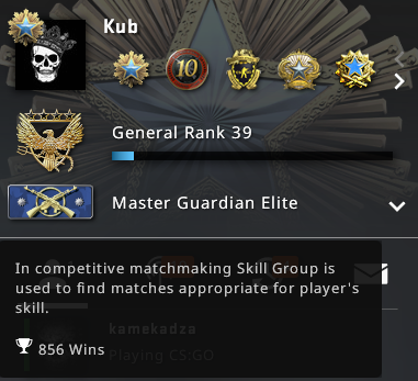 SOLD - Master Guardian Elite | 856 Win | 2231 Hours | 6 Coins | LT ...