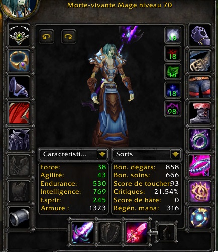 Selling account - Shaman T6 / Priest S4 / Mage T4 / Lock 63 - 460 ...